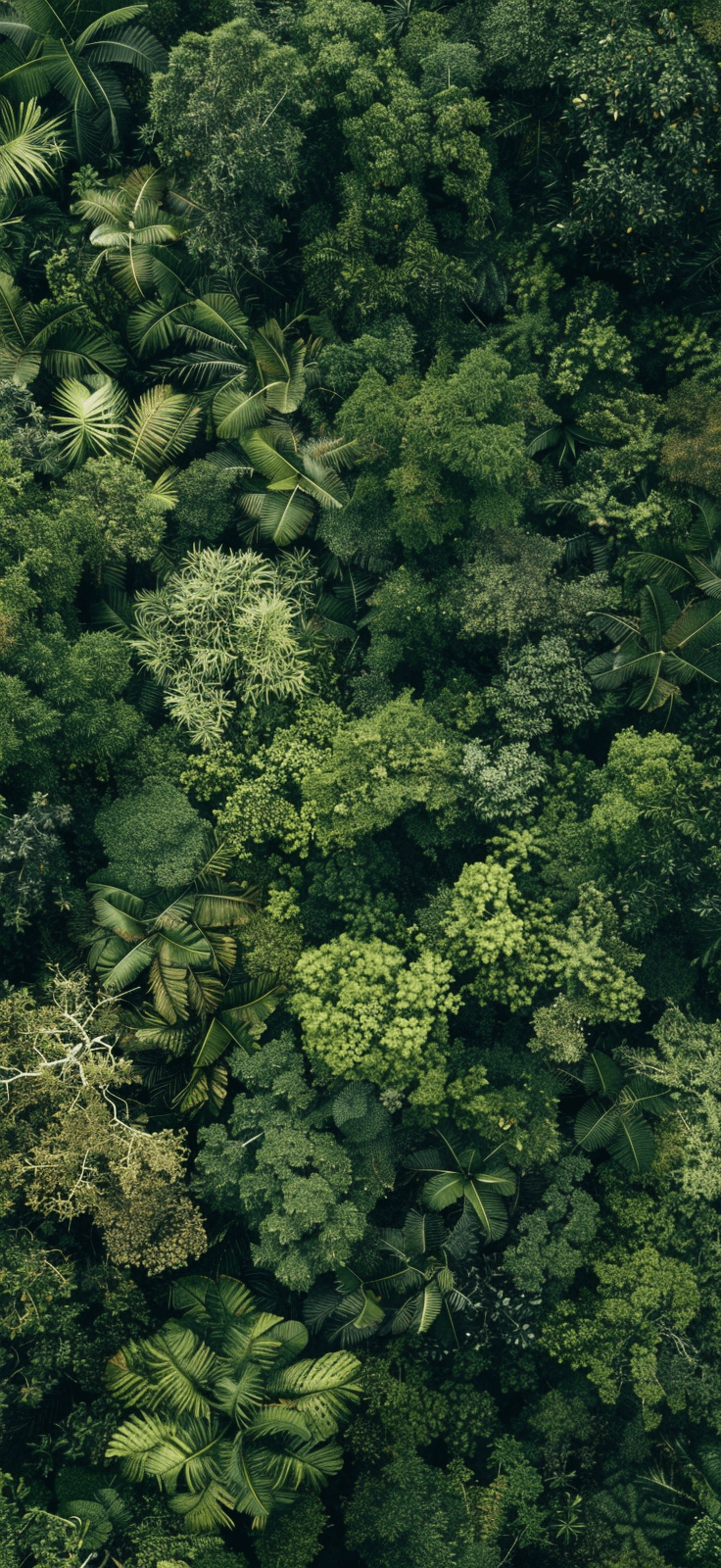 Earth Day iPhone Wallpaper Collection - Insider Mama | Mom Lifestyle Blog