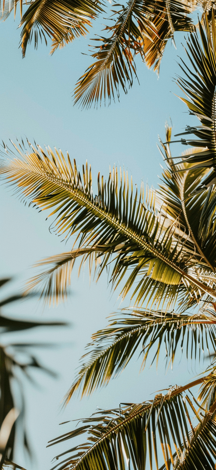 Summer Background iPhone Images - Insider Mama